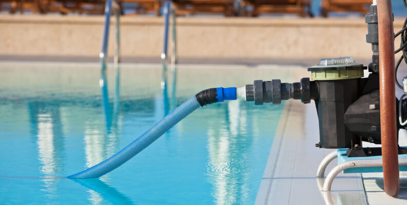 How to Revamp Your Pool Area for a Stylish Makeover – Bio Force Pest ...